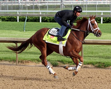 Oscar Nominated - Horse Profile - BloodHorse