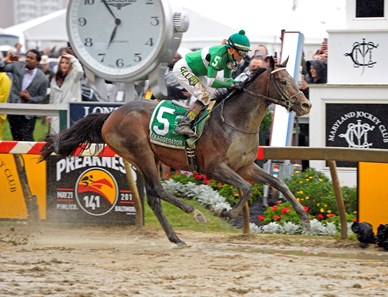 Exaggerator - Horse Profile - BloodHorse