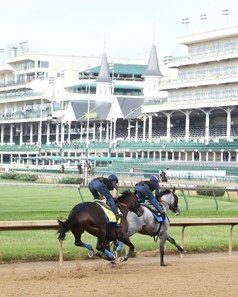 Mor Spirit - Horse Profile - BloodHorse