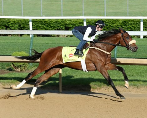 Suddenbreakingnews Now 'Official Ridgling' - BloodHorse