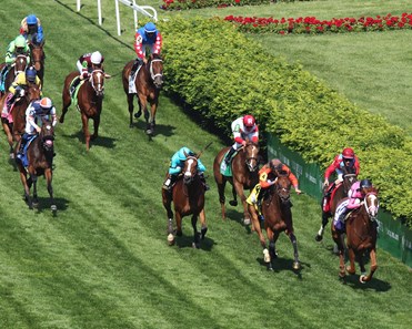 Catch a Glimpse - Horse Profile - BloodHorse