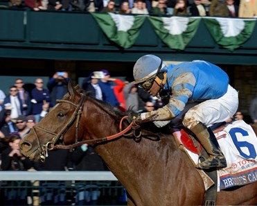 Brody's Cause - Horse Profile - BloodHorse