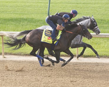 Mor Spirit - Horse Profile - BloodHorse