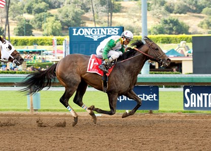 Wild Dude - Horse Profile - BloodHorse