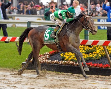 Exaggerator - Horse Profile - BloodHorse