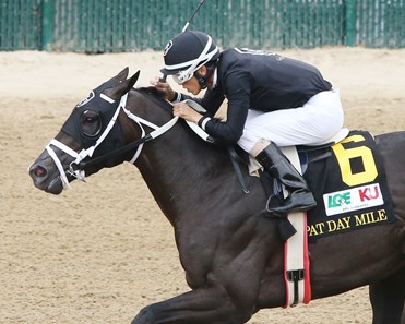 Sharp Azteca - Horse Profile - BloodHorse