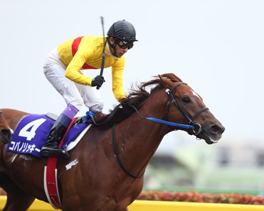 Copano Rickey (JPN) - Horse Profile - BloodHorse