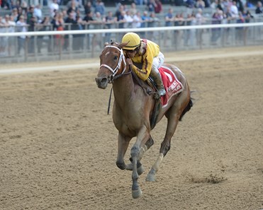 Cavorting - Horse Profile - BloodHorse