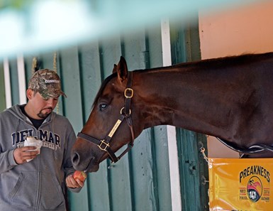 Exaggerator - Horse Profile - BloodHorse
