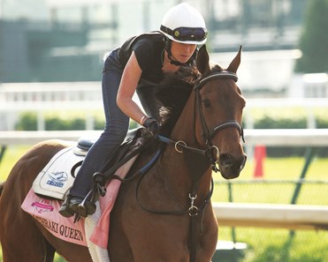 Dothraki Queen - Horse Profile - BloodHorse