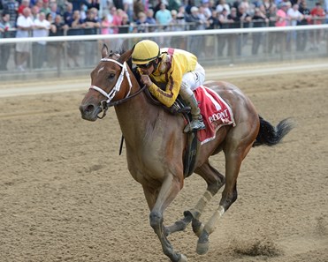 Cavorting - Horse Profile - BloodHorse