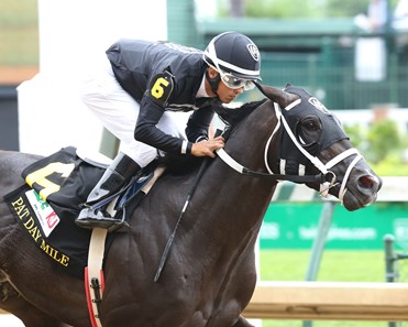 Sharp Azteca - Horse Profile - BloodHorse