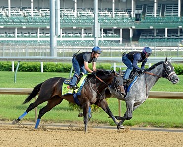 Mor Spirit - Horse Profile - BloodHorse