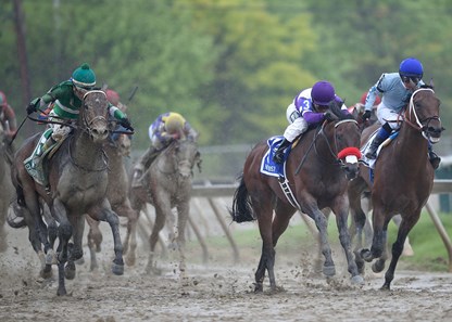 Exaggerator - Horse Profile - BloodHorse