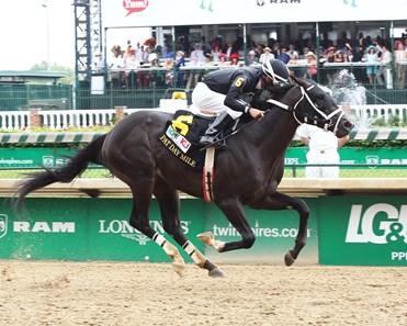 Sharp Azteca - Horse Profile - BloodHorse