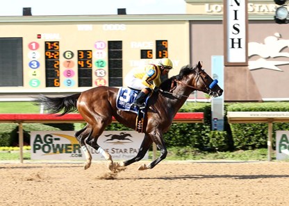 Cyrus Alexander - Horse Profile - BloodHorse