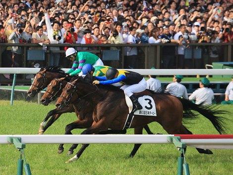 Japanese Derby Trifecta for Deep Impact - BloodHorse