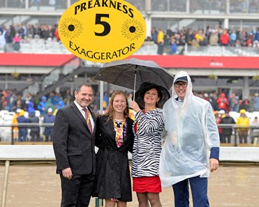 Exaggerator - Horse Profile - BloodHorse