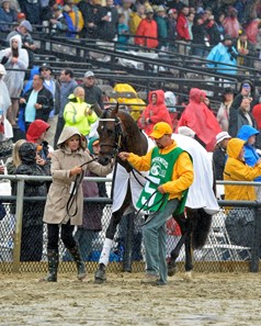 Exaggerator - Horse Profile - BloodHorse