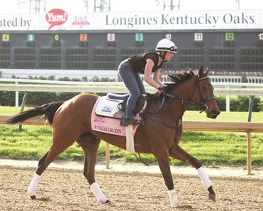 Dothraki Queen - Horse Profile - BloodHorse
