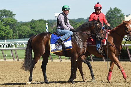 Exaggerator - Horse Profile - BloodHorse