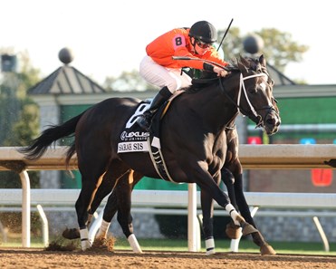 Sarah Sis - Horse Profile - BloodHorse