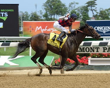 Carina Mia - Horse Profile - BloodHorse