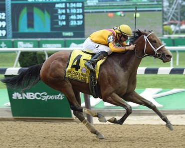 Cavorting - Horse Profile - BloodHorse