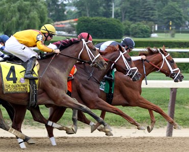 Cavorting - Horse Profile - BloodHorse