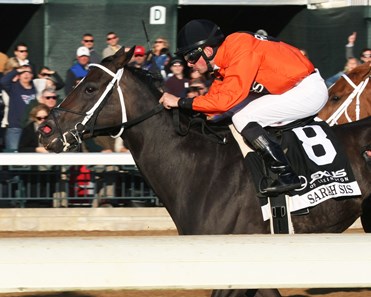 Sarah Sis - Horse Profile - BloodHorse