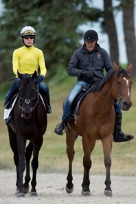 Shakhimat - Horse Profile - BloodHorse