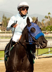 Calimonco - Horse Profile - BloodHorse