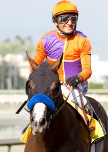 Lord Nelson - Horse Profile - BloodHorse