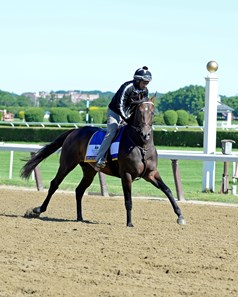 Exaggerator - Horse Profile - BloodHorse