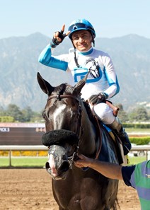 Midnight Storm - Horse Profile - BloodHorse
