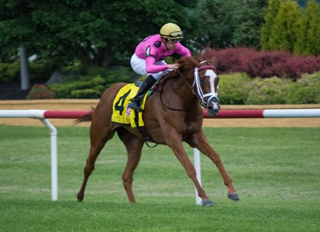 Catch a Glimpse Never Threatened in Penn Mile - BloodHorse