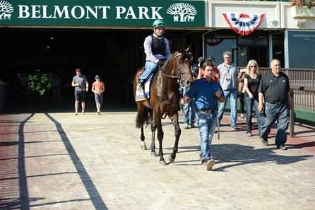 Exaggerator - Horse Profile - BloodHorse