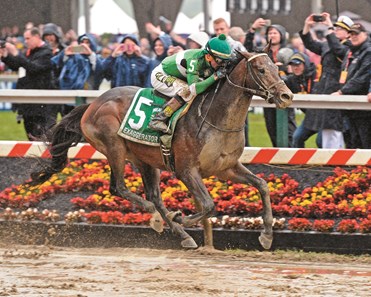 Exaggerator - Horse Profile - BloodHorse