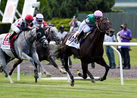 Flintshire Impresses in Manhattan Victory - BloodHorse