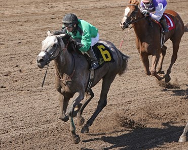 Plot Twist - Horse Profile - BloodHorse