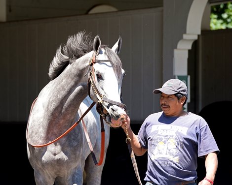 Cherry Wine Returns to Turf for Secretariat - BloodHorse