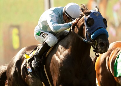 Calimonco - Horse Profile - BloodHorse