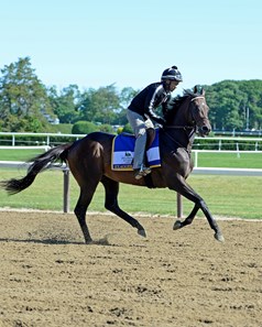 Exaggerator - Horse Profile - BloodHorse