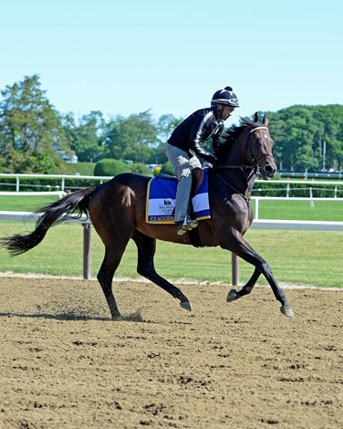 All Systems Go for Belmont Choice Exaggerator - BloodHorse