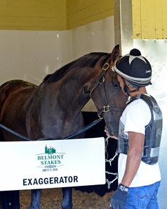 Exaggerator - Horse Profile - BloodHorse