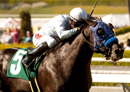 Calimonco - Horse Profile - BloodHorse