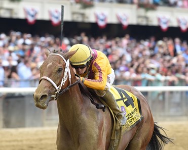 Cavorting - Horse Profile - BloodHorse