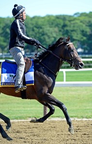 Exaggerator - Horse Profile - BloodHorse