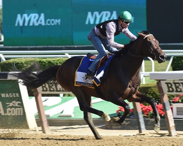 Exaggerator - Horse Profile - BloodHorse