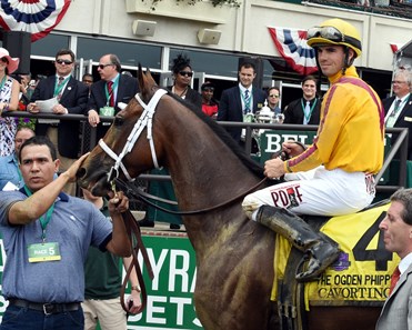 Cavorting - Horse Profile - BloodHorse